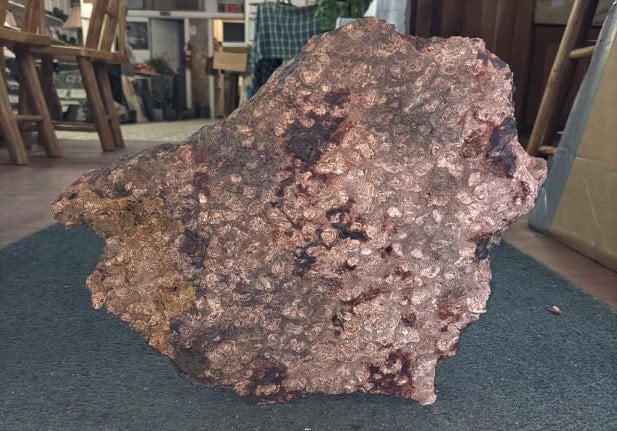 Ancient Algae | MaryEllenStoneCo